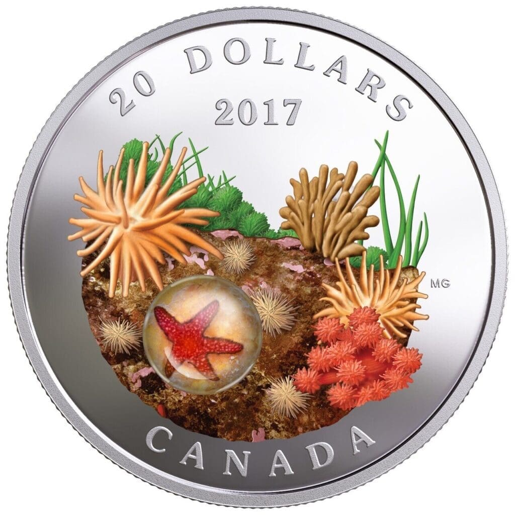 2017 $20 Under the Sea ‘Sea Star’ Silver Coin | The Coin Chest